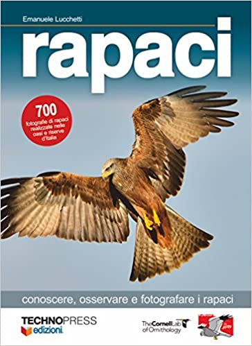 Top 5 dei libri sui rapaci - 5libri.net